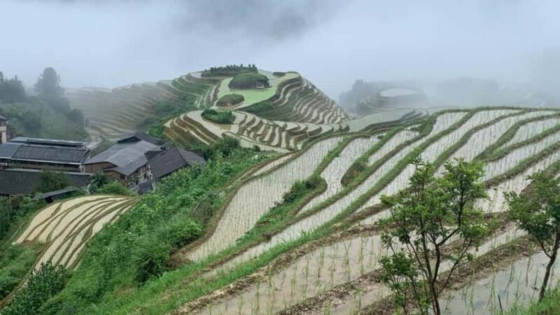 Guilin: Longji Rice Terraces & Minority Villages 2-Day Tour - Overnight in Pingan