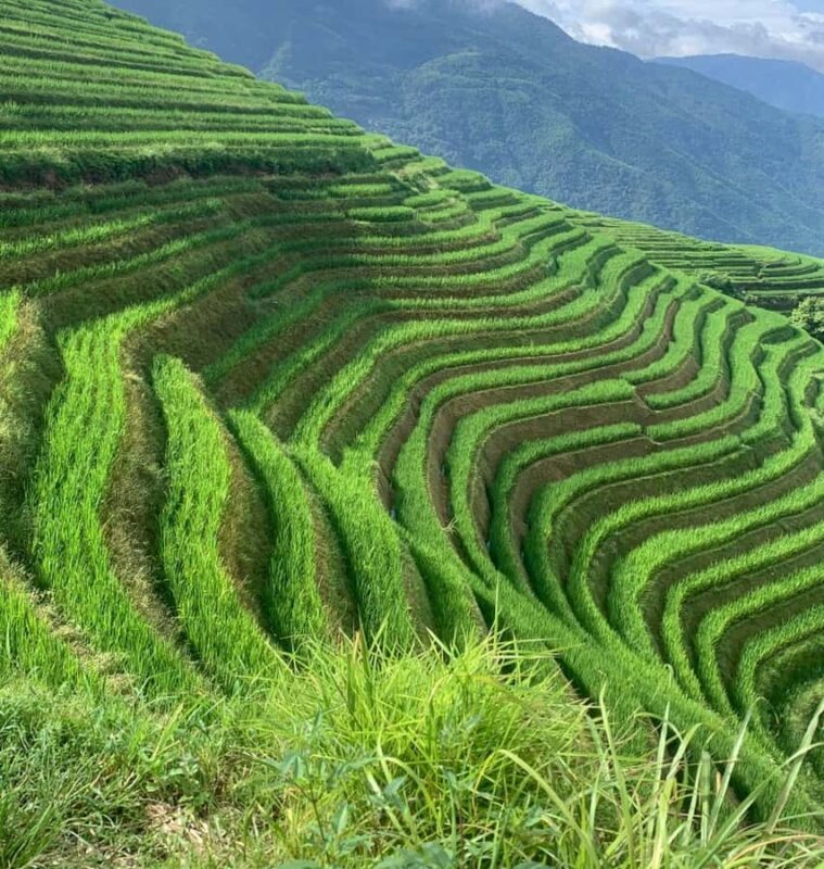 Guilin: Longji Rice Terraces & Minority Villages 2-Day Tour - Lunch and Return to Guilin or Yangshuo