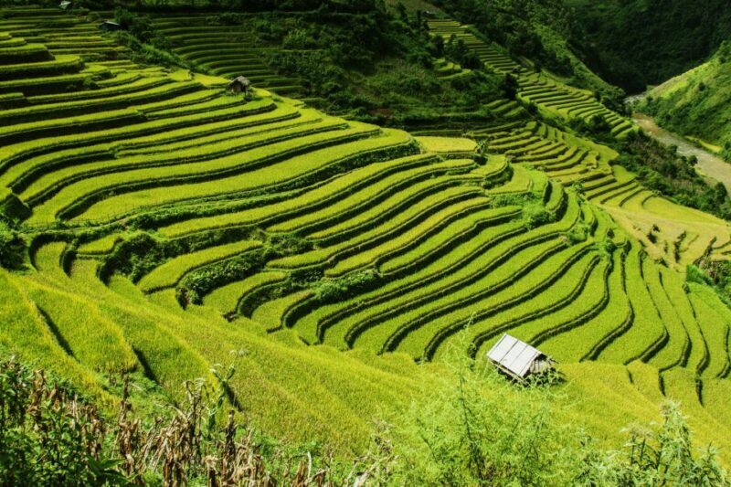Guilin Longji Terraces Private Day Tour - Exploring the Details