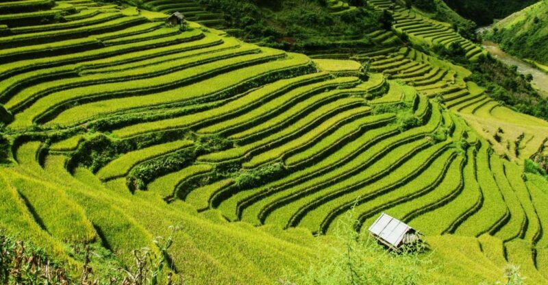 Guilin Longji Terraces Private Day Tour - Final Thoughts