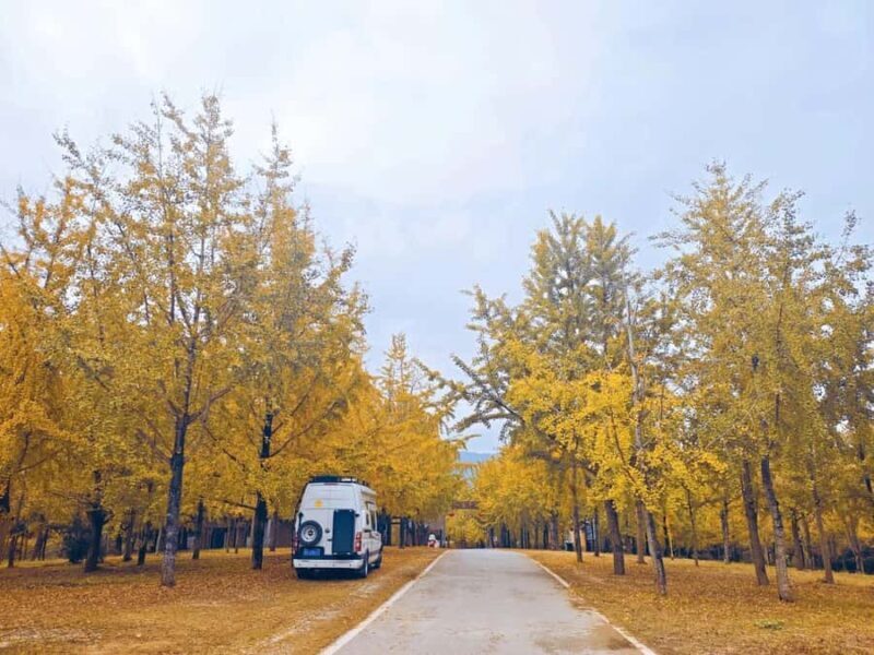 Guilin: Private Ginkgo Village and DaXu Ancient Town Tour - Key Points