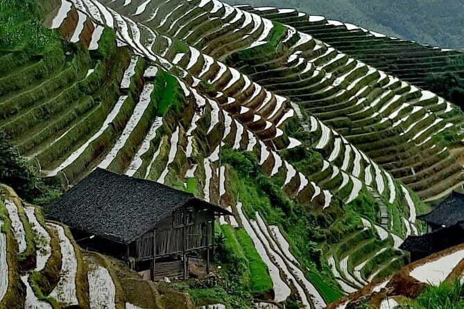 Guilin Reed Flute Cave and Longji Rice Terraces Private Day Tour - Long Hair Village at Huangluo: Culture and Tradition