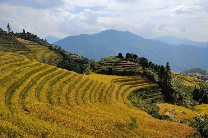 Guilin Tea plantation and Longji Rice Terraces Day Tour from Yangshuo hotel - Who would enjoy this tour most?