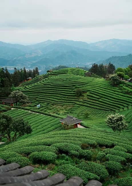 Guilin to Sanjiang: Dong Village, Local Lunch & Tea Mountain - A Detailed Look at the Guilin to Sanjiang Tour