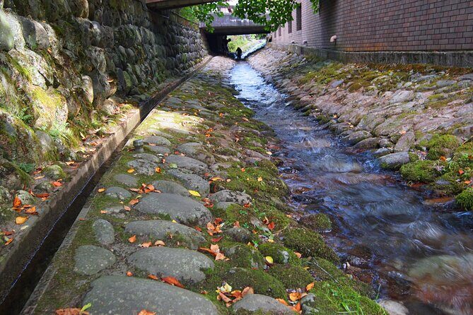 Gujo Hachiman All Must-Sees Full Day Private Tour with Government-Licensed Guide - Practical Details and How to Make the Most of Your Day