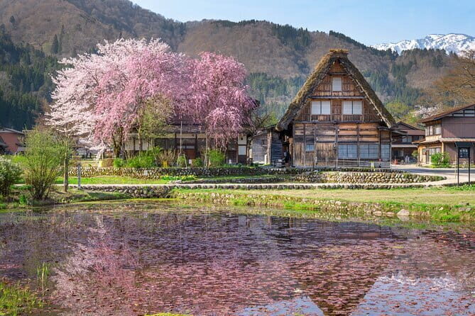 Gujo, Hida Takayama, and Shirakawa-go Day Tour from Nagoya - An In-Depth Look at the Tour Experience