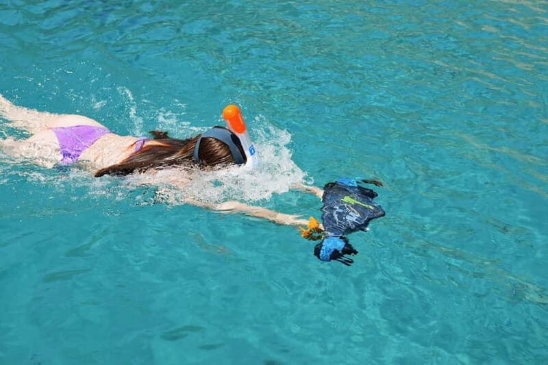 gulf of Ajaccio / Anse de cacao , swim stop - The Sum Up: Who Should Consider This Tour?