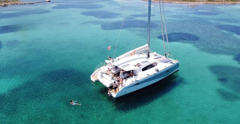 Gulf of Asinara: Full day catamaran excursion with lunch - Key Points