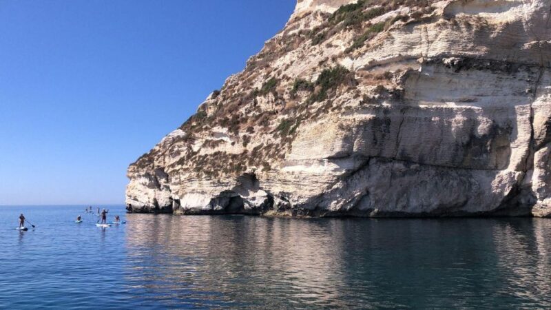 Gulf of Cagliari: half-day sailing excursion - Who Is This Tour Best For?