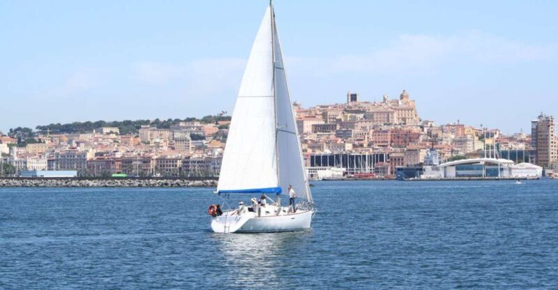 Gulf of Cagliari: half-day sailing excursion - The Sum Up