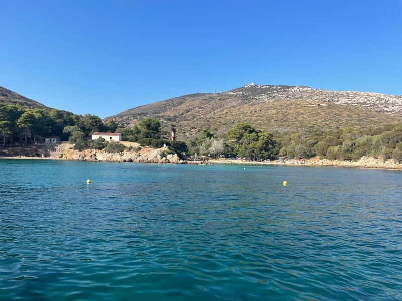 Gulf of Olbia: Dolphin watching by dinghy - Key Points