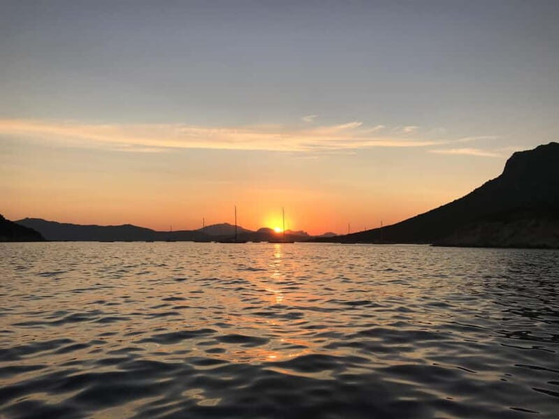 Gulf of Olbia: Dolphin watching by dinghy - An In-Depth Look at Your Sardinian Marine Adventure