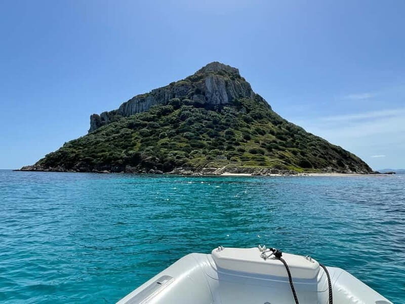 Gulf of Olbia: Dolphin watching by dinghy - FAQ