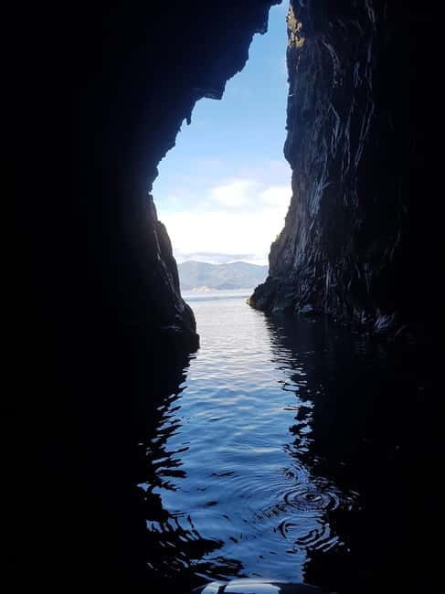 Gulf of Porto: Visit the Calanques de Piana and the Scandola Nature Reserve - Whats Included and Pricing Analysis