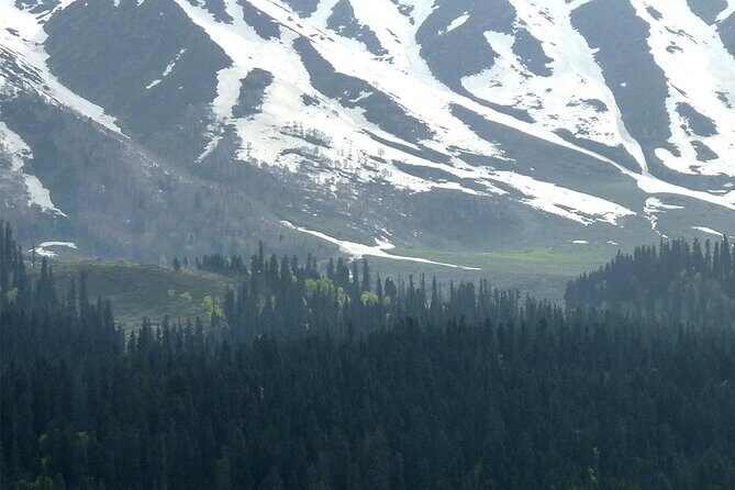 Gulmarg Adventure: A Thrilling Day Trip from Srinagar - Key Points