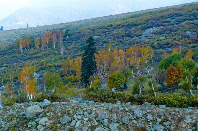 Gulmarg Adventure: A Thrilling Day Trip from Srinagar - Free Time to Explore and Play