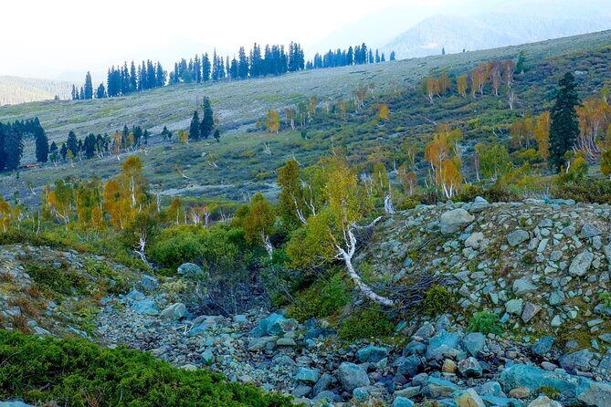 Gulmarg Adventure: A Thrilling Day Trip from Srinagar - Evaluating the Value