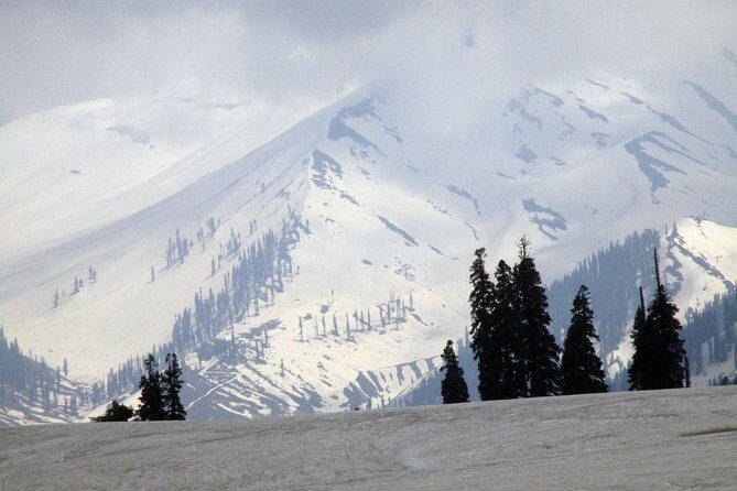 Gulmarg Adventure: A Thrilling Day Trip from Srinagar - Who Will Love This Tour?