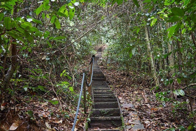 Gunung Gading National Park Tour - Final Thoughts: Is It Worth It?