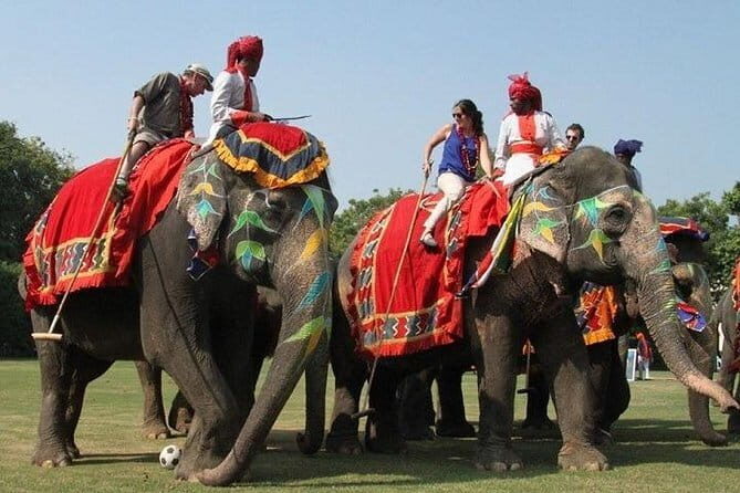 Gurugram To Jaipur One Day Road Trip - What’s Included and What’s Not