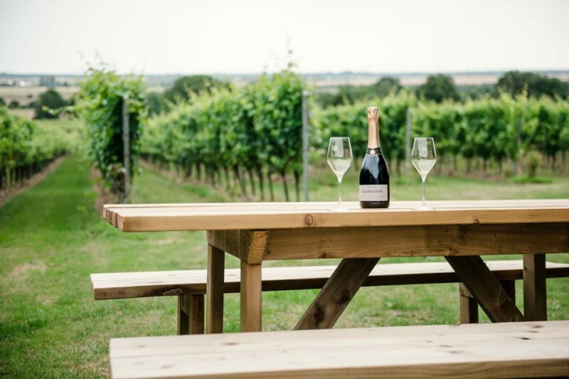 Gusbourne Wine Tasting 2pm - An Authentic Sip of Kent’s Wine Heritage