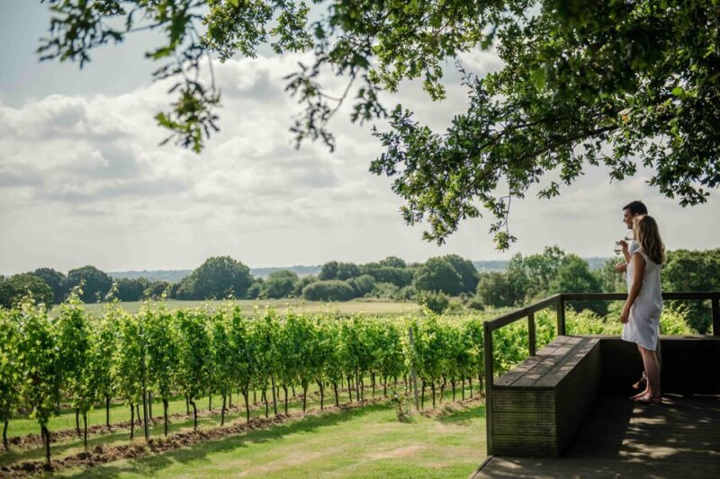 Gusbourne Wine Tasting 2pm - Practical Details & Tips