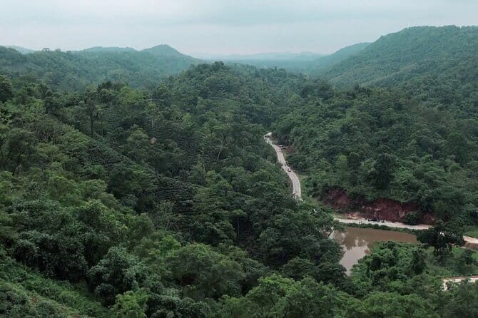 Guwahati Tea Garden tour @ Amchong - Final Thoughts: Who Will Love This Tour?