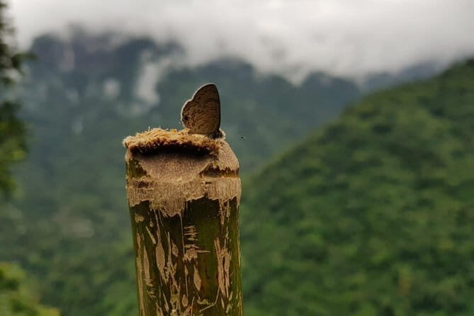 Guwahati Tea Garden tour @ Amchong - FAQ