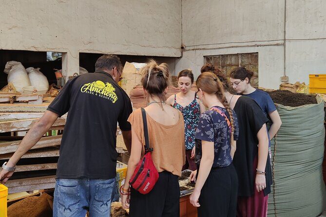 Guwahati Tea Garden Tour with Lunch & Hi Tea (Premium Experience) - Final Thoughts: Is This Tour for You?