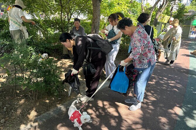 Gwangju Pet Plogging Tour (4 hours) - What Makes This Tour Stand Out?
