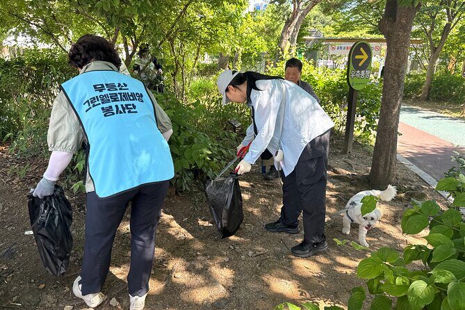 Gwangju Pet Plogging Tour (4 hours) - Practical Tips & Final Thoughts