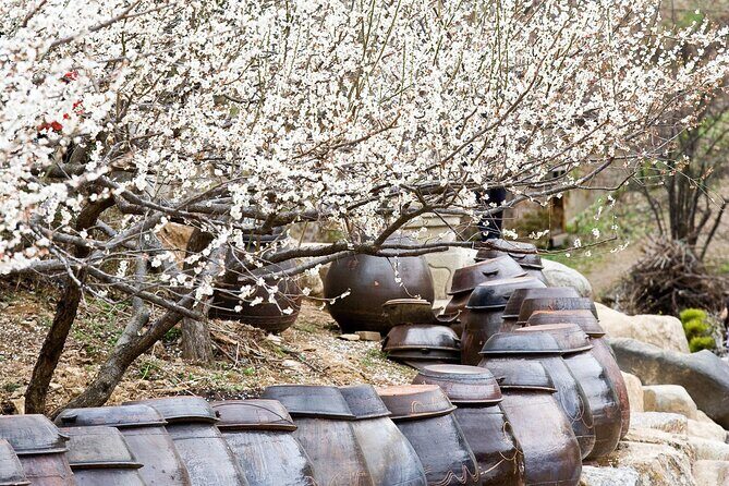 Gwangyang Plum Blossom & Jeonju Hanok Village Day Tour from Seoul - Introduction