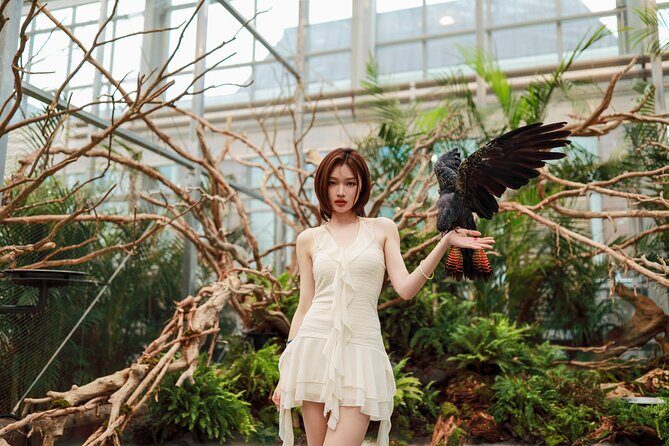 Gyeonggi Begonia Bird Park Ticket - An In-Depth Look at the Gyeonggi Begonia Bird Park