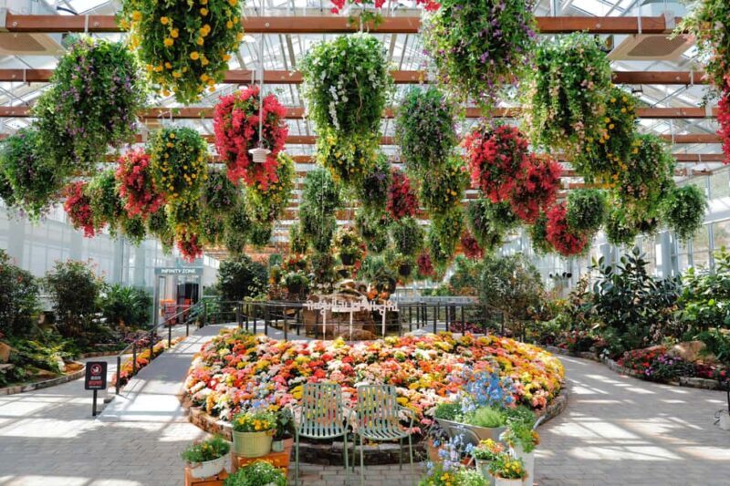 Gyeonggi: Gaypeong Begonia Bird Park Entry Ticket - An In-Depth Look at Gaypeong Begonia Bird Park