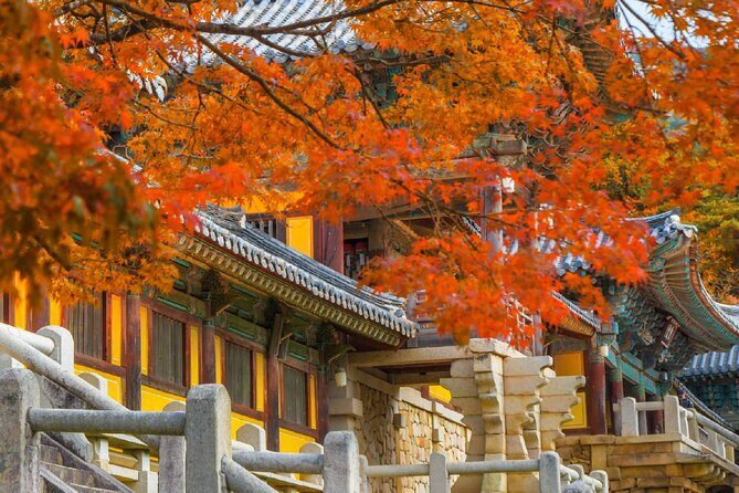 Gyeongju Historic Sites One Day Tour from Busan - The Sum Up