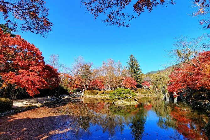 Gyeongju Maple Tour from Busan - FAQs