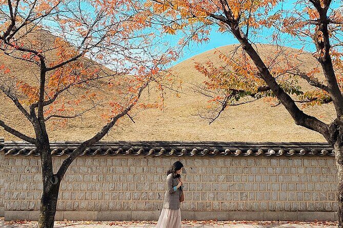 Gyeongju One-Day Tour from Daegu - Transportation and Logistics: Why It Matters