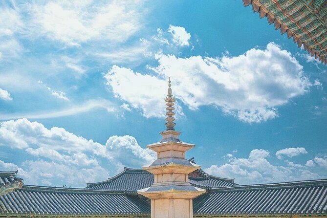 Gyeongju One-Day Tour from Daegu - Who Should Consider This Tour?