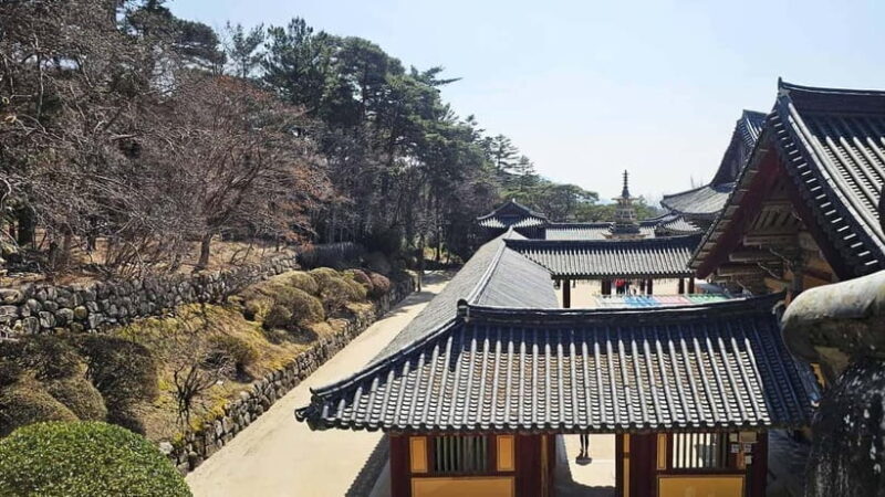 Gyeongju: Private Car Charter Taxi Tour - What to Expect During Your Tour