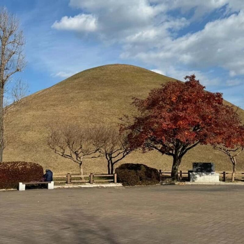 Gyeongju: Private Car Tour UNESCO Site & Yangdong Village - The Experience in Practice