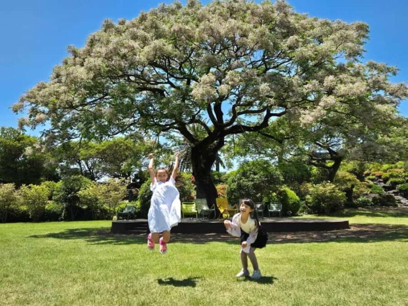 Gyeongju: Private Car Tour UNESCO Site & Yangdong Village - Who Will Benefit Most?