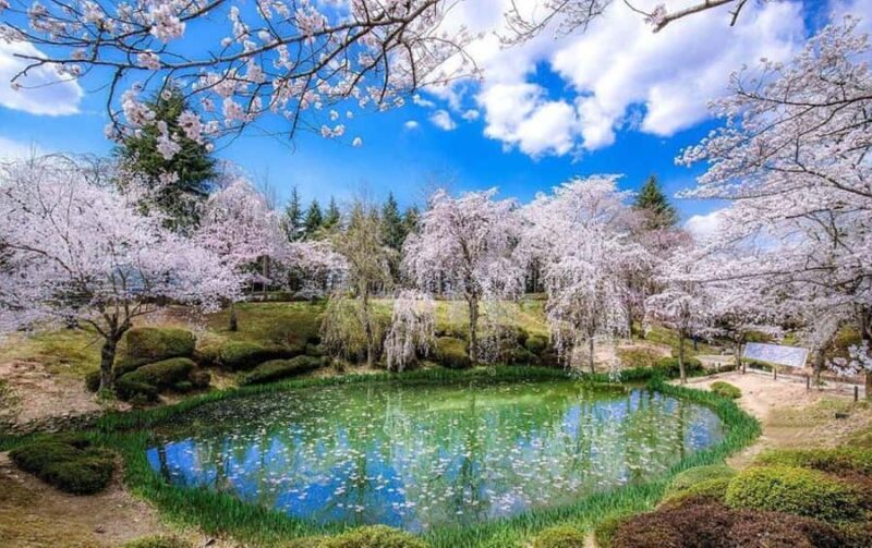 Gyeongju: UNESCO & Heritage Private Custom Tour - Authenticity and Experience: What Travelers Say