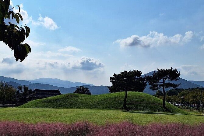Gyeongju UNESCO Heritage Private Half-Day Tour - What We Heard from Others