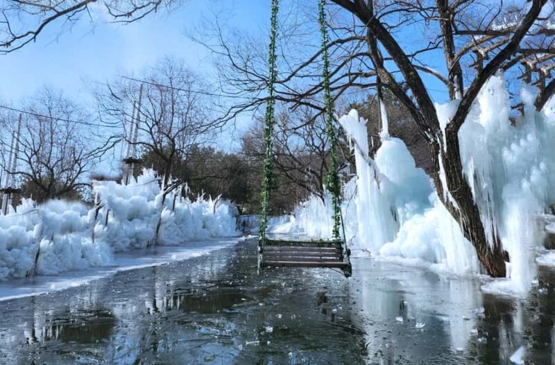 Gyeongju Winter Trip: Ice River+Bulguksa+Woljeong From Busan - Analyzing the Value