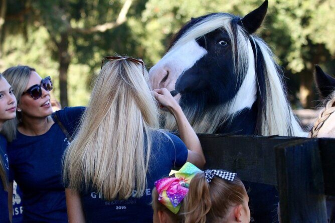 Gypsy Gold Horse Farm Tour - Potential Drawbacks or Considerations