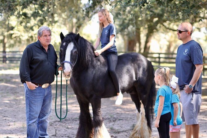 Gypsy Gold Horse Farm Tour - Who Will Love This Tour?