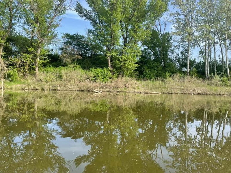 Gyr: 2-Hour Private Boat Sightseeing Tour - Final Thoughts