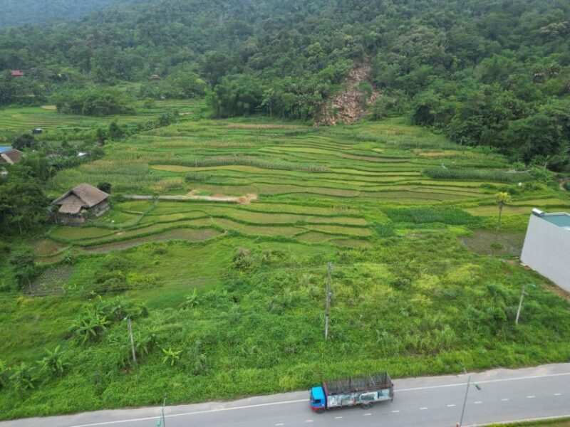 Ha Giang : 1 Day Trekking ethnic villages - Exploring the Ha Giang: 1 Day Trekking Ethnic Villages Tour