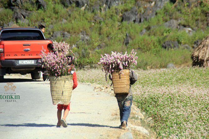 Ha Giang 3 days/ 2 nights adventure: Amazing adventure & mountain pictureques - Who Will Love This Tour?