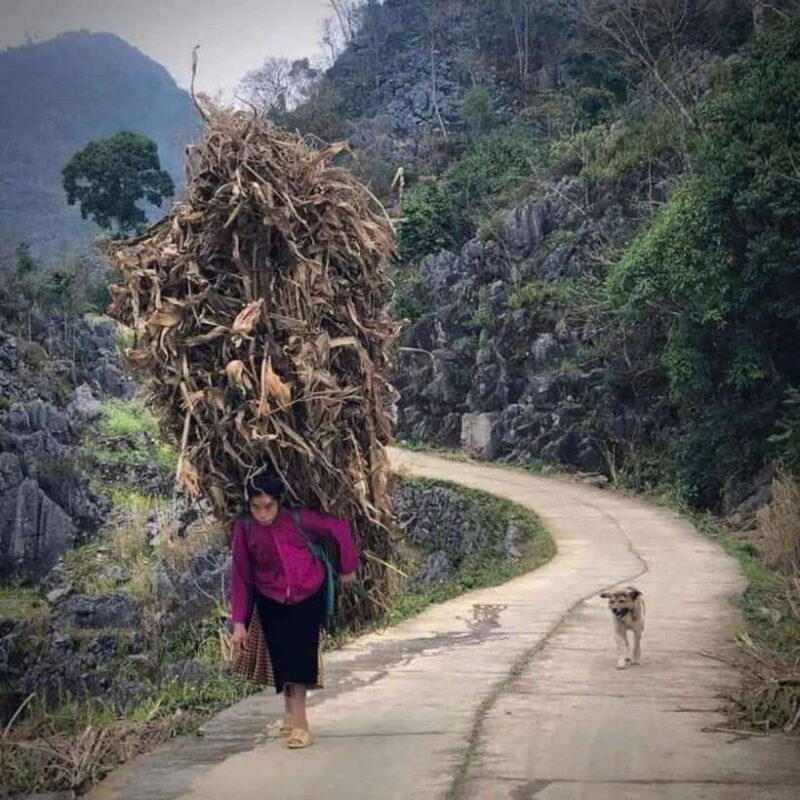 Ha Giang: 4-Day Loop Motorbike Tour with Accommodation - The Experience of the Rides